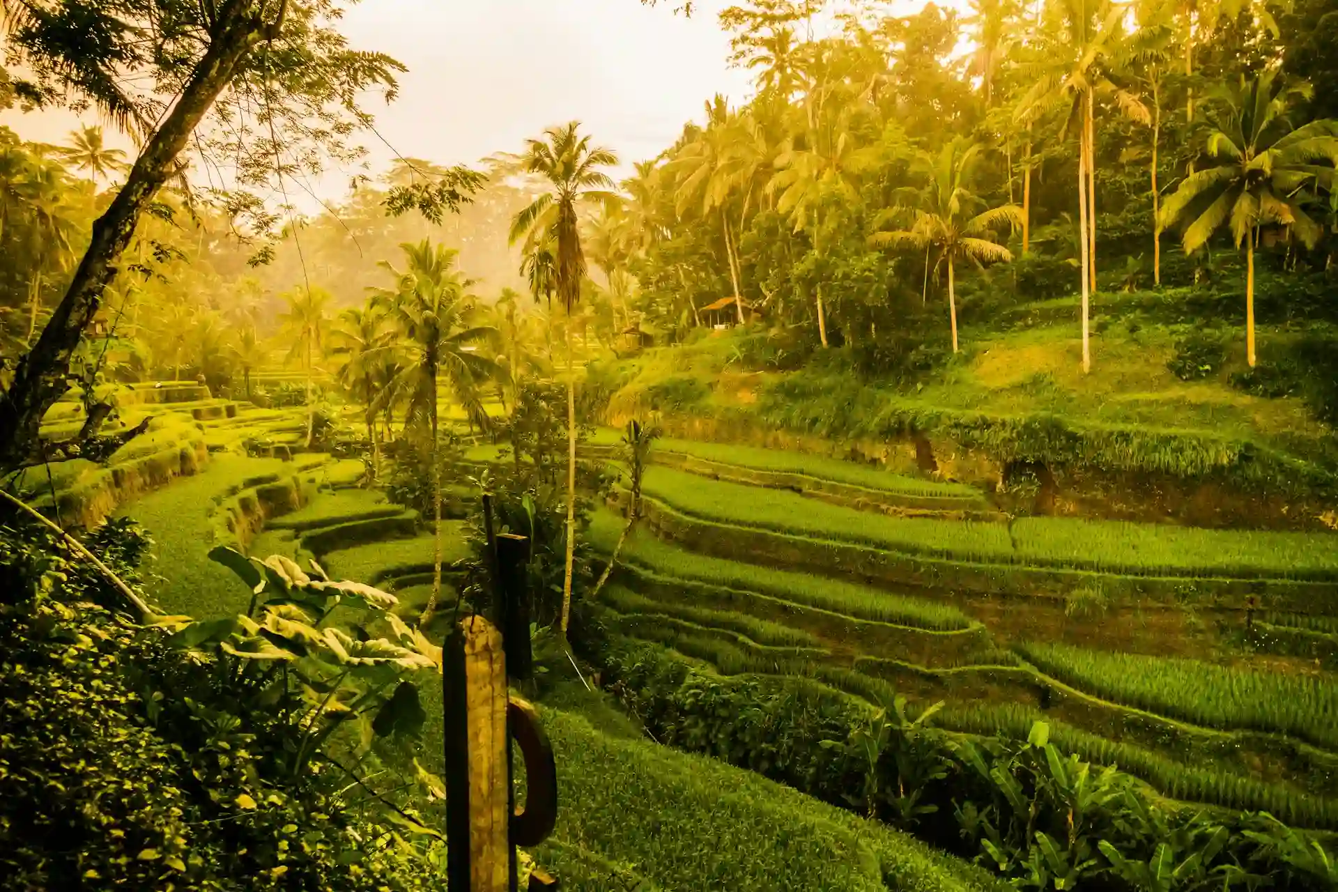 Ubud Area Guide for First-Time Visitors - Semat Travel